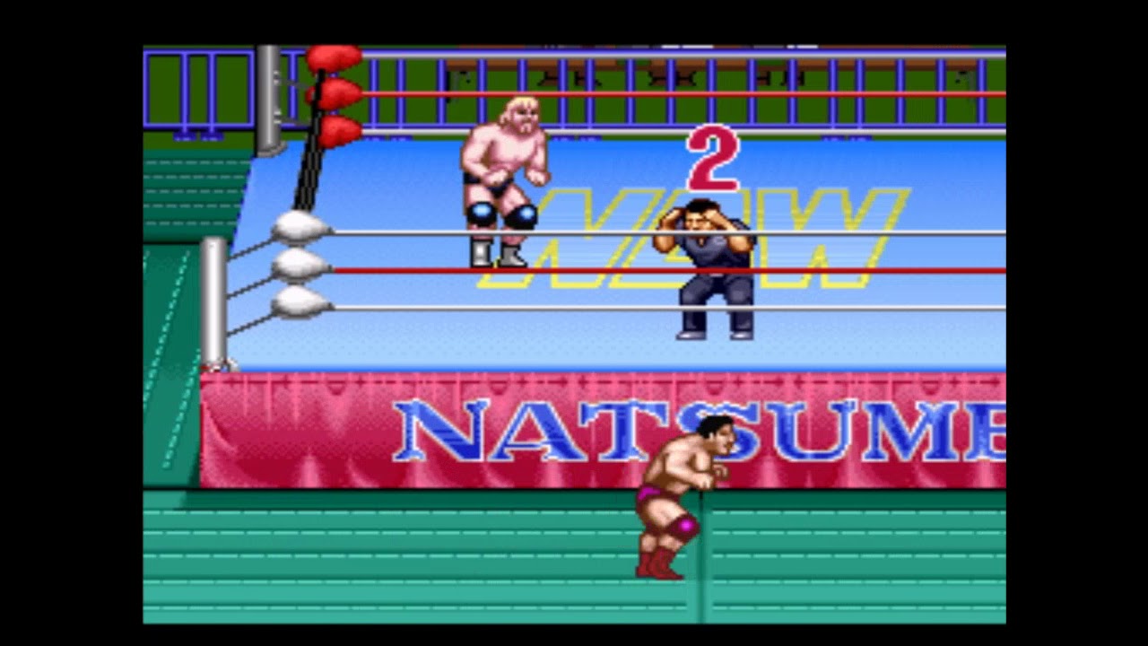 nL Not So Live - Natsume Championship Wrestling! [SNES] (Online ...