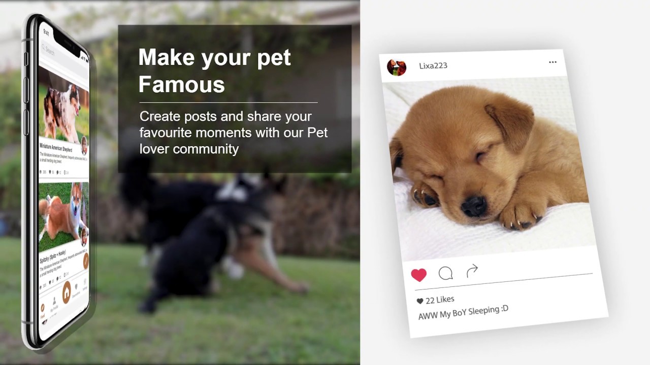 Dog Book: Breed Identifier, Dog Scanner, Photo App - YouTube