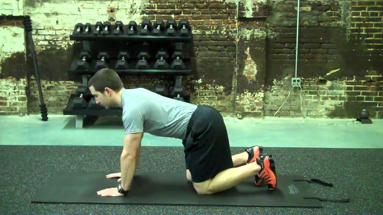 Contralateral Bird Dog - YouTube