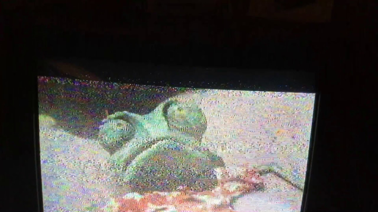 The premiere of rango- short video- September 28, 2017 - YouTube