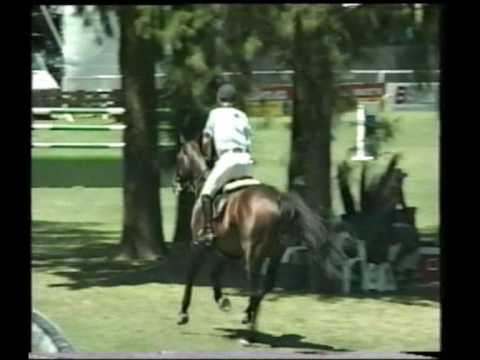 QUADANNE Z Stallion (Quick Star X I Love You X Gorgechatum) - YouTube
