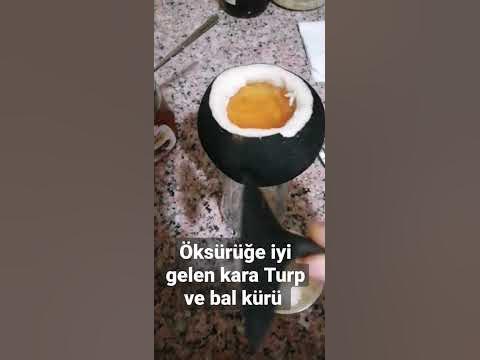 kara Turp ve bal kürü - YouTube
