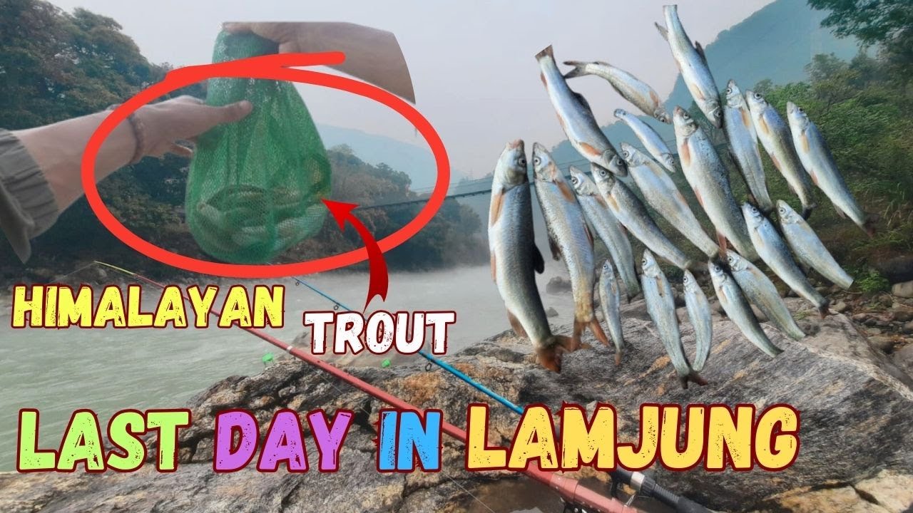 THE BEST PLACE HIMALAYAN TROUT FISHING SPOTS || LAMJUNG NEPAL|| - YouTube