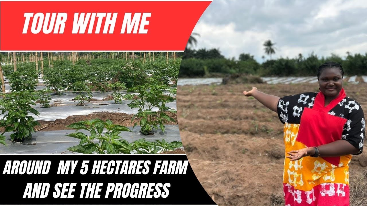 Raw and Unfiltered farm Tour Round my 5 hectare farm (part 3) - YouTube