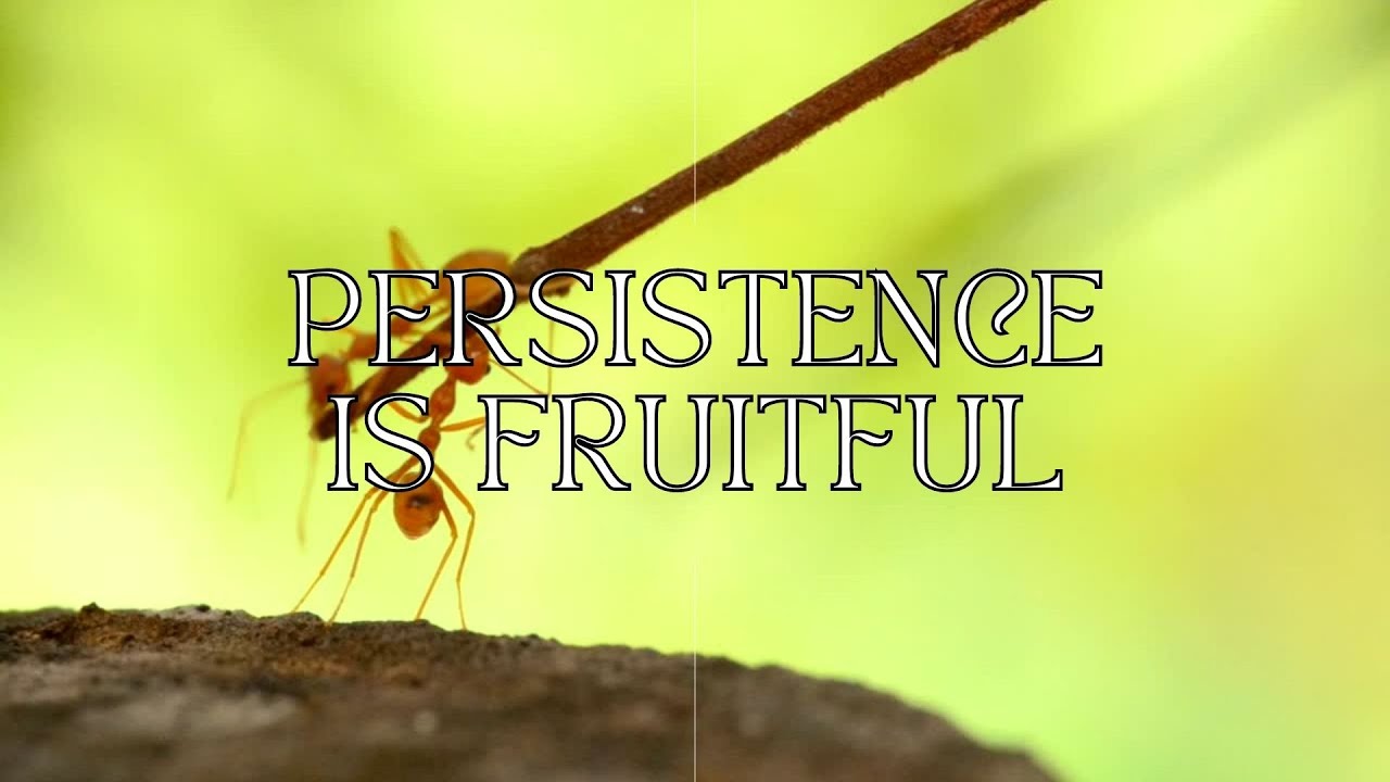 Persistence is Fruitful | Motivational Video to Keep you Going - YouTube
