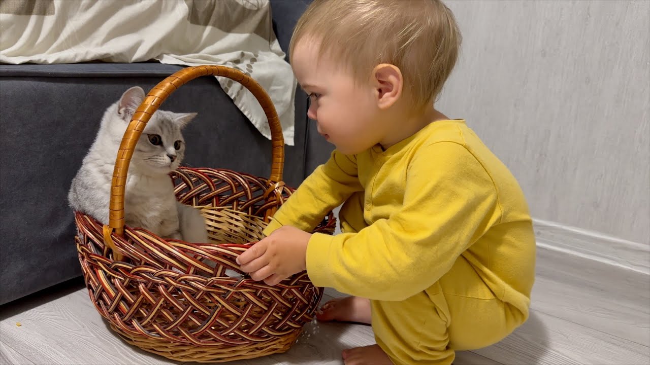 Kitten Asks Adorable Baby for a Ride! Cutest Moment! - YouTube