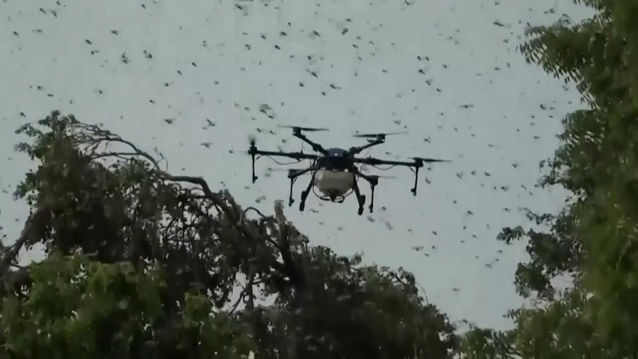 Drones vs. Locusts - YouTube