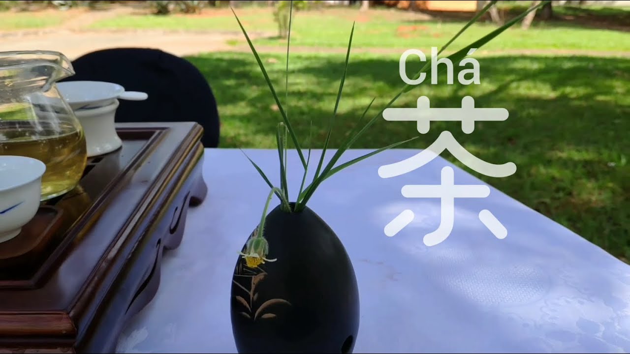 学汉语–茶|Chá Tea| Do you like tea? How to make it? Let's see. - YouTube