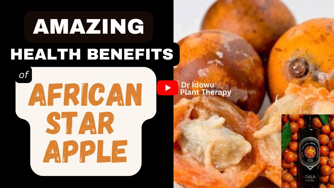 Why you should eat African star apple (Agbalumo, Udara) in season. 20 ...