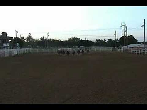 Dancing Hooves Drill Team Music Video - YouTube