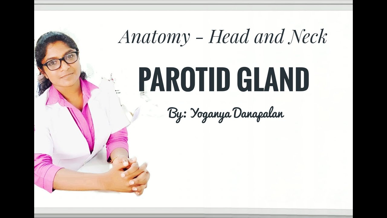 Anatomy Head and neck | Parotid gland - YouTube