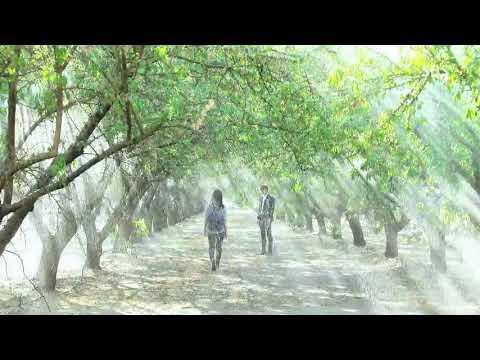 The Heirs ( eps 3 Subsitle Indonesia part5)