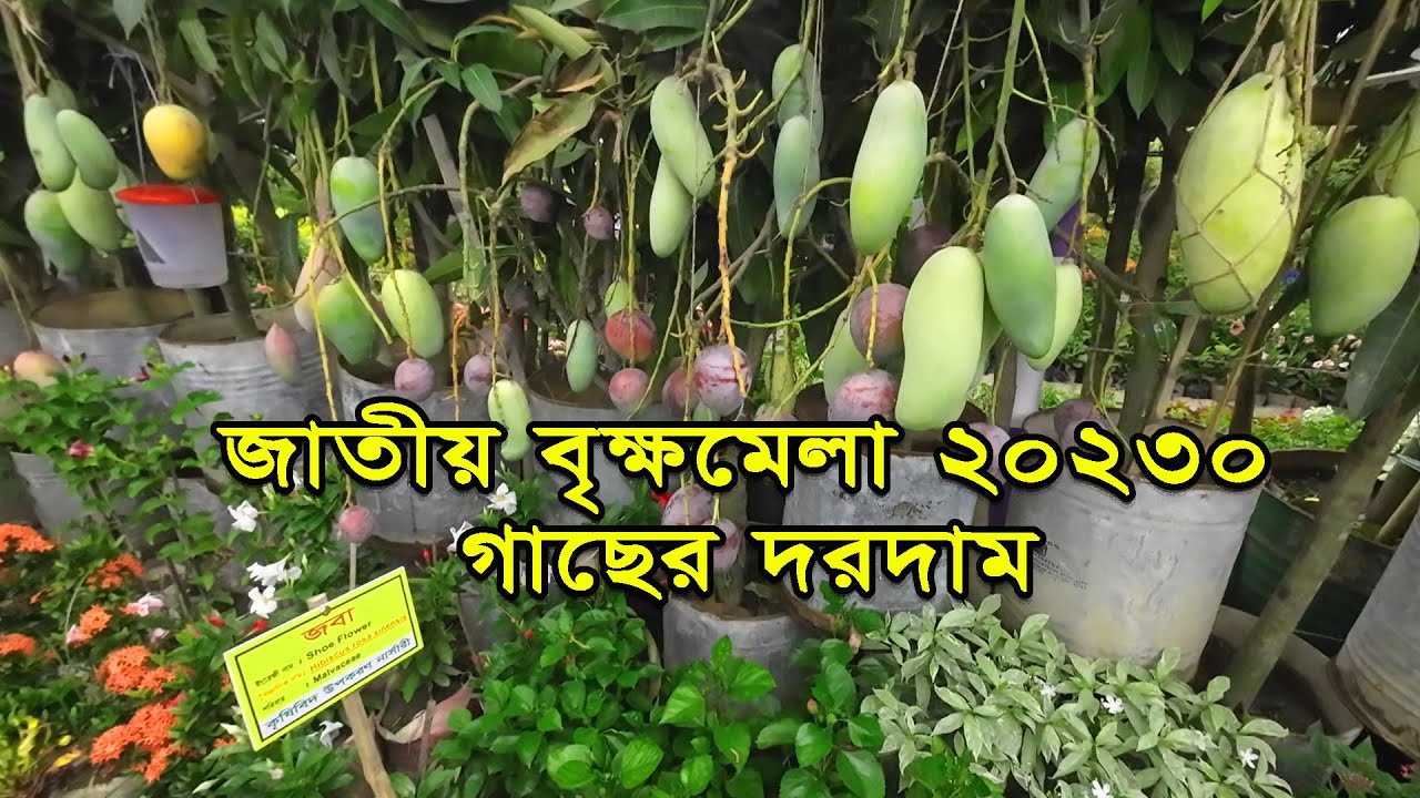 National Tree Fair 2023 || Tree Plantation of my Farmhouse🍃🌴🌳 - YouTube