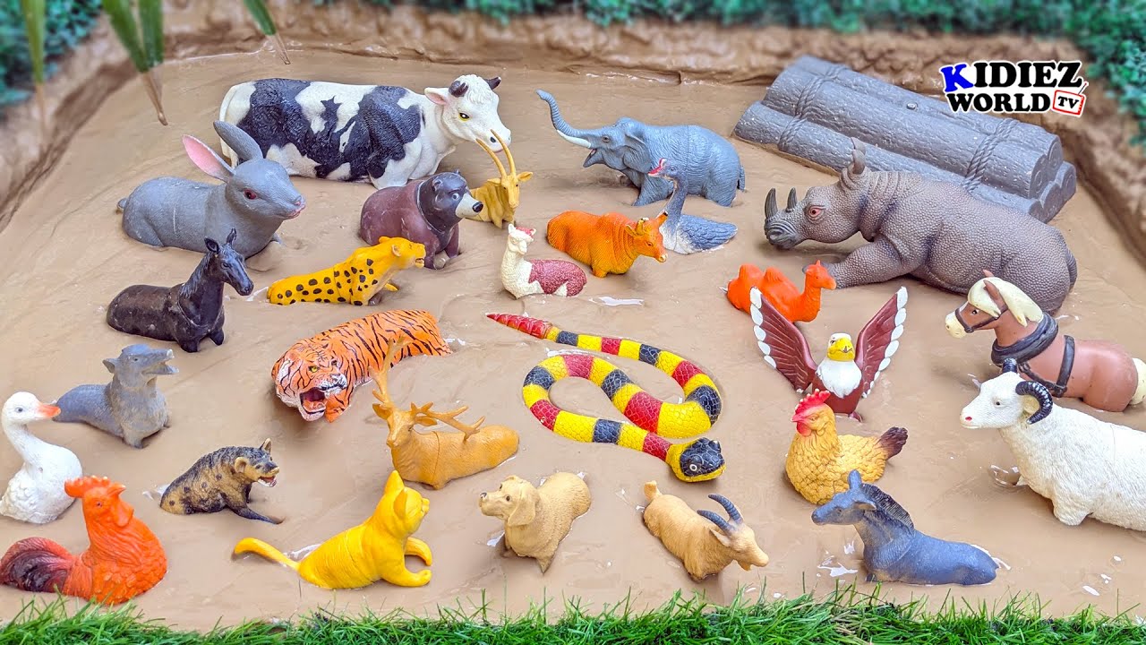 27 Indian Animals for Kids | Fun Learning with Muddy Animal Toys ...