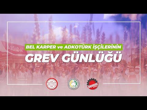 Grev Günlüğü