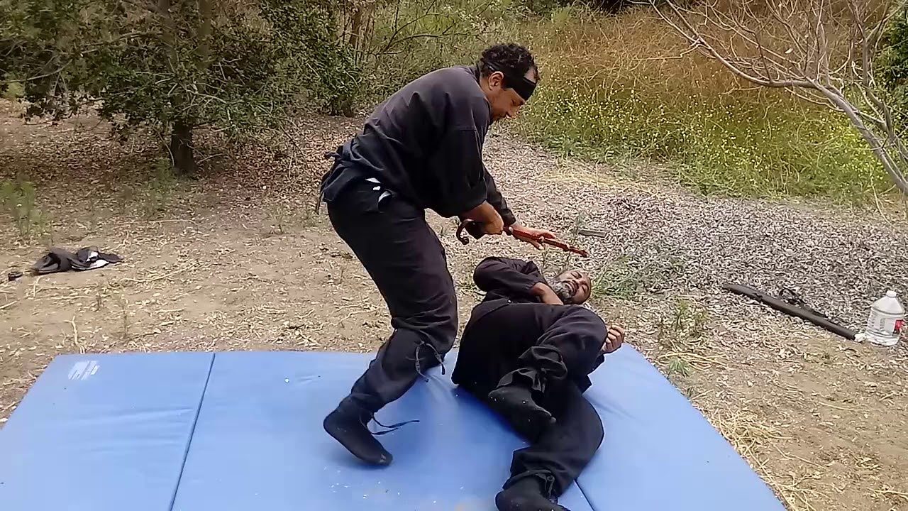 Shadow Hawk Koga Ninjitsu. Cane defense. - YouTube