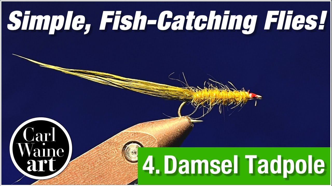The Double Figure Specialist! The Damsel Tadpole - YouTube