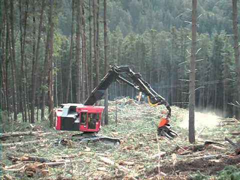 SHOVEL LOGGING TO THE YARDER AUSTRALIA - YouTube