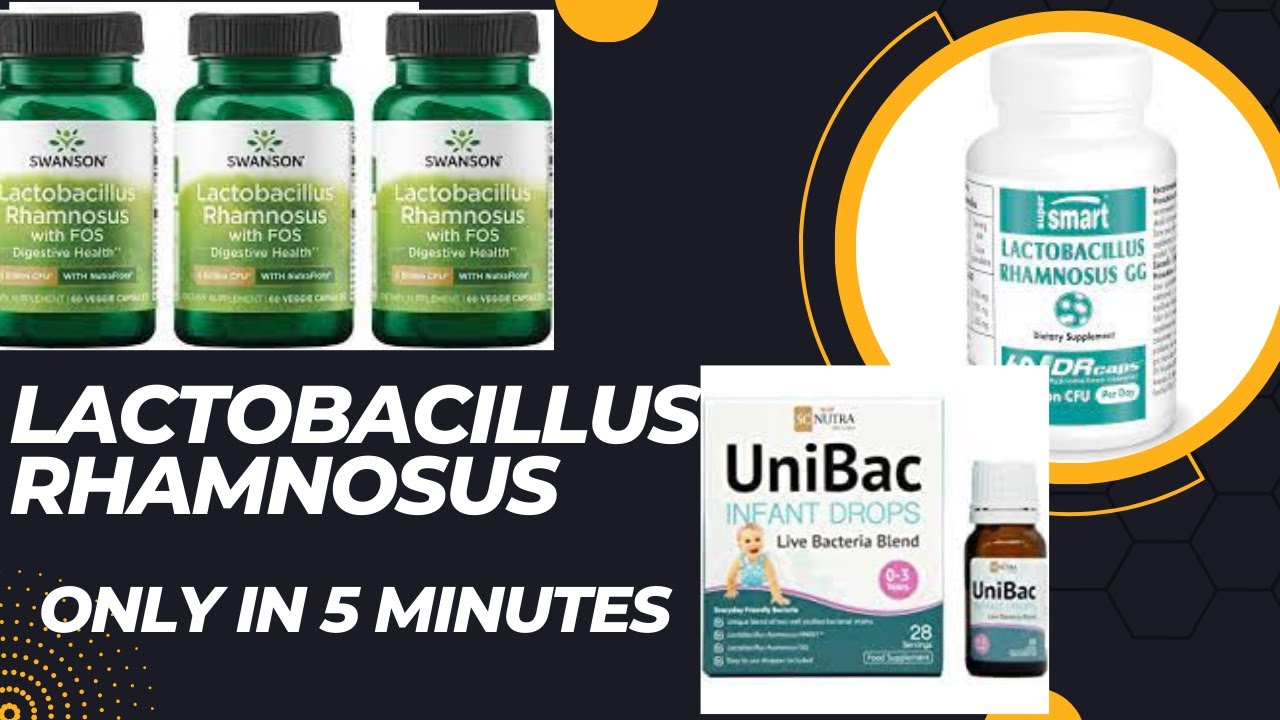 lactobacillus microbiology lecture ||Lactobacillus rhamnosus ||Easy ...