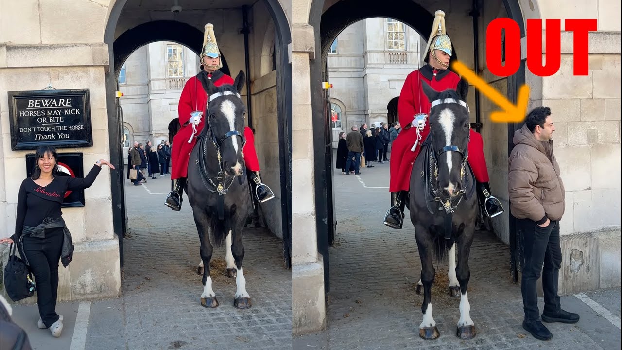 The Guard’s Lightning-Fast Response to Tourists in the White Box ...