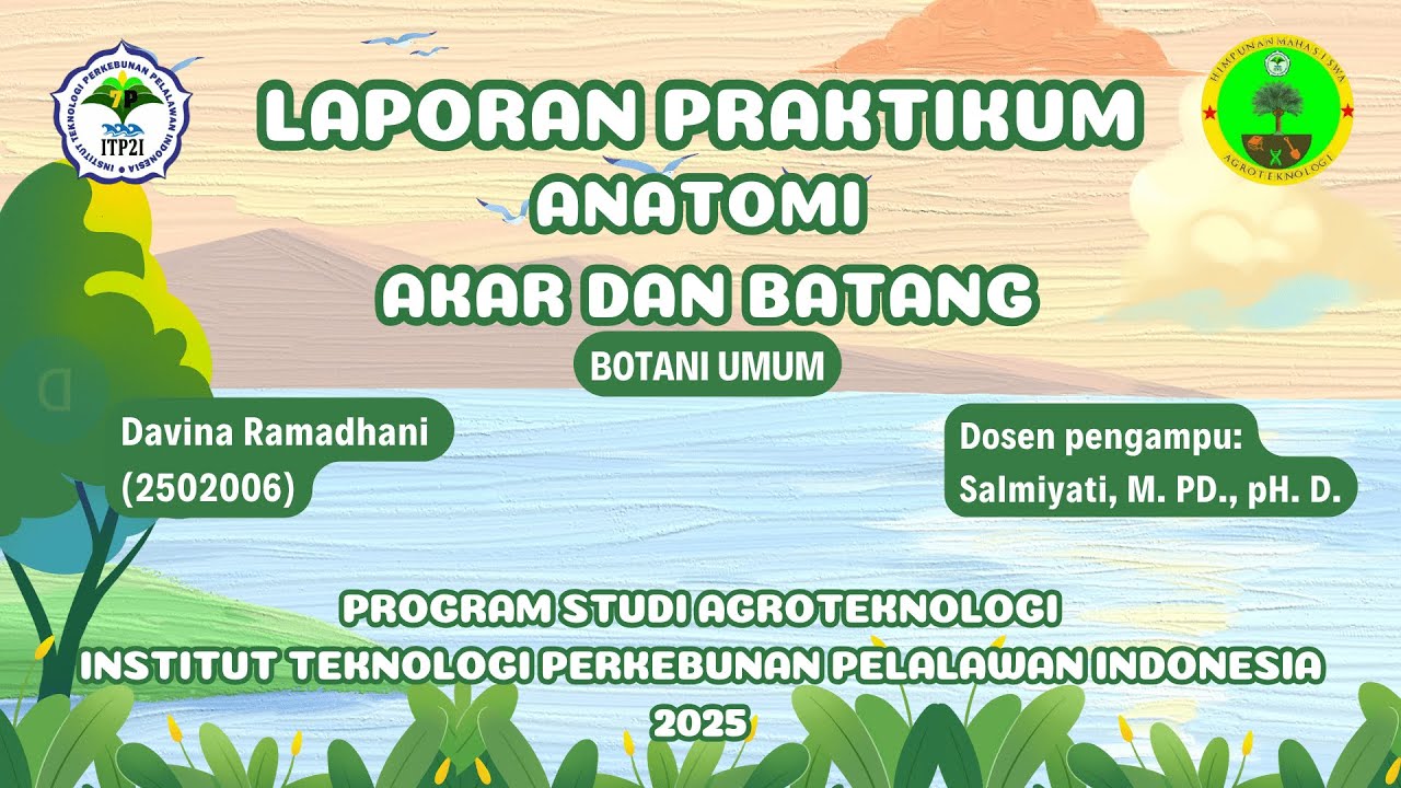 LAPORAN PRAKTIKUM ANATOMI AKAR DAN BATANG - BOTANI UMUM - YouTube