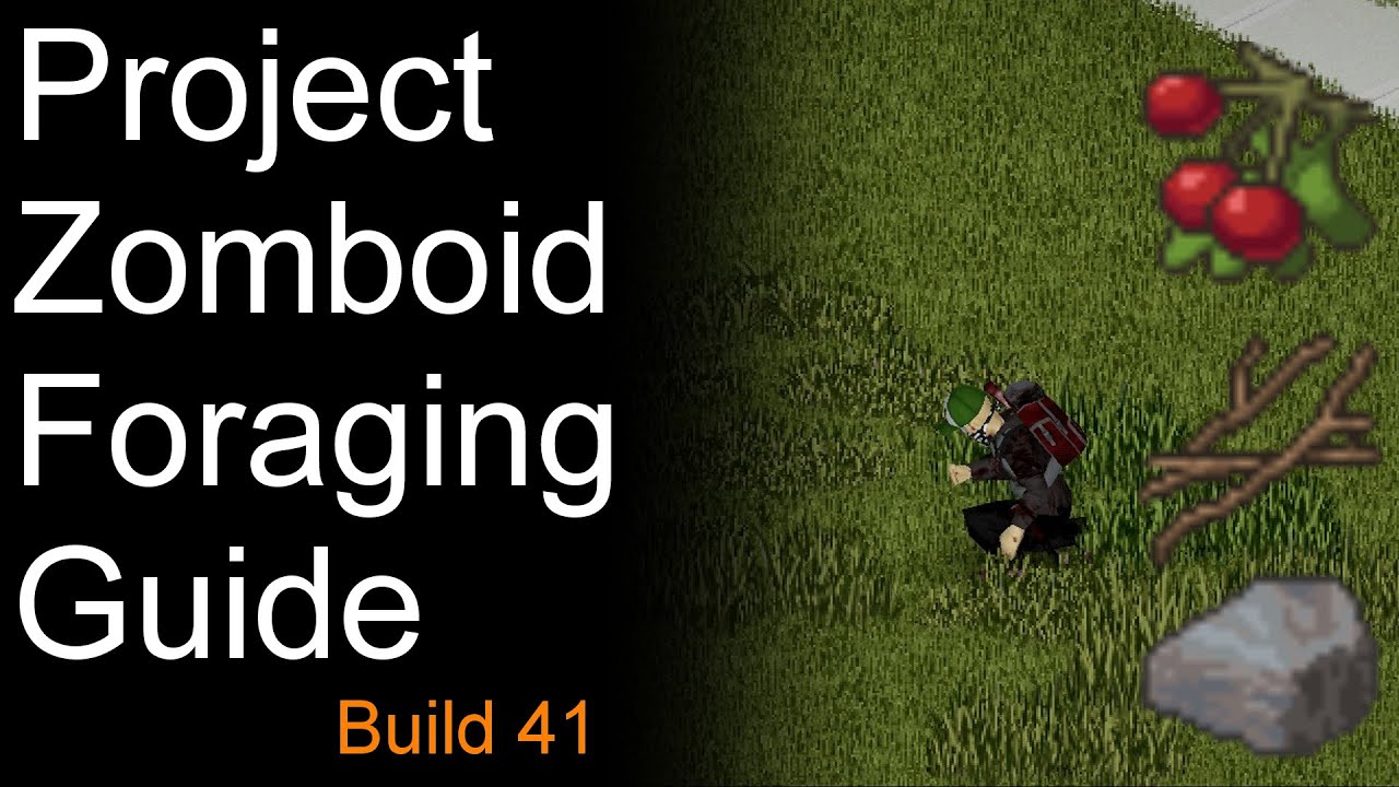 Project Zomboid Foraging Guide Build 41 (OLD) - YouTube
