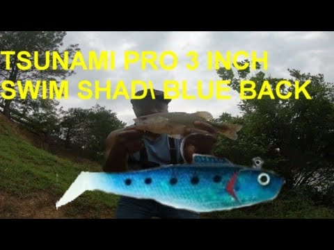 TSUNAMI PRO BLUE BACK 3 INCH - YouTube