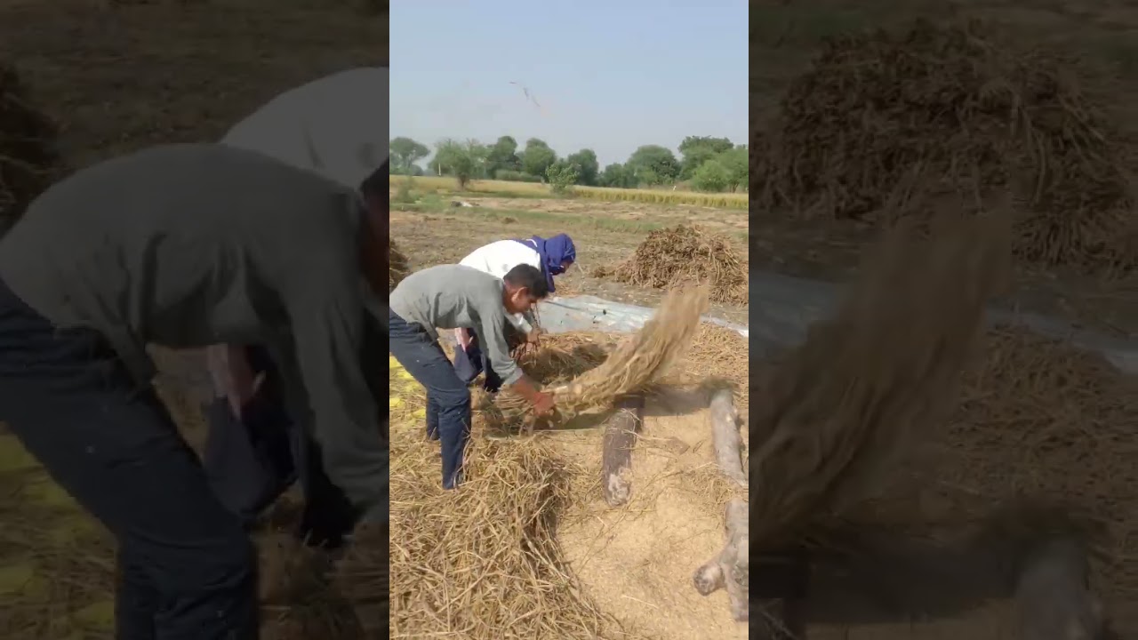 ये हैं किसान - YouTube