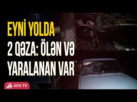 Lənkəranda avtomobil ağaca çırpılıb, SƏRNİŞİN ÖLÜB | APA TV