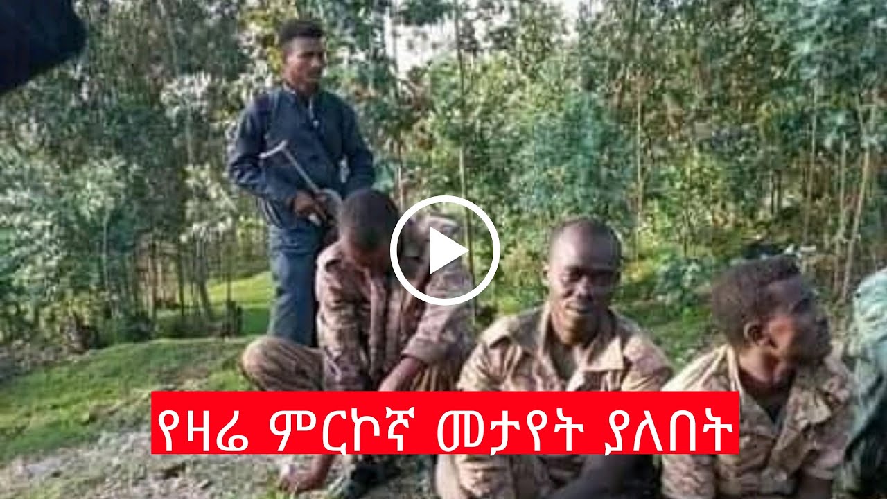 Amharic News ሰበር ዜና | August 20 /2021 | Ethiopian ZENA | Digital ...