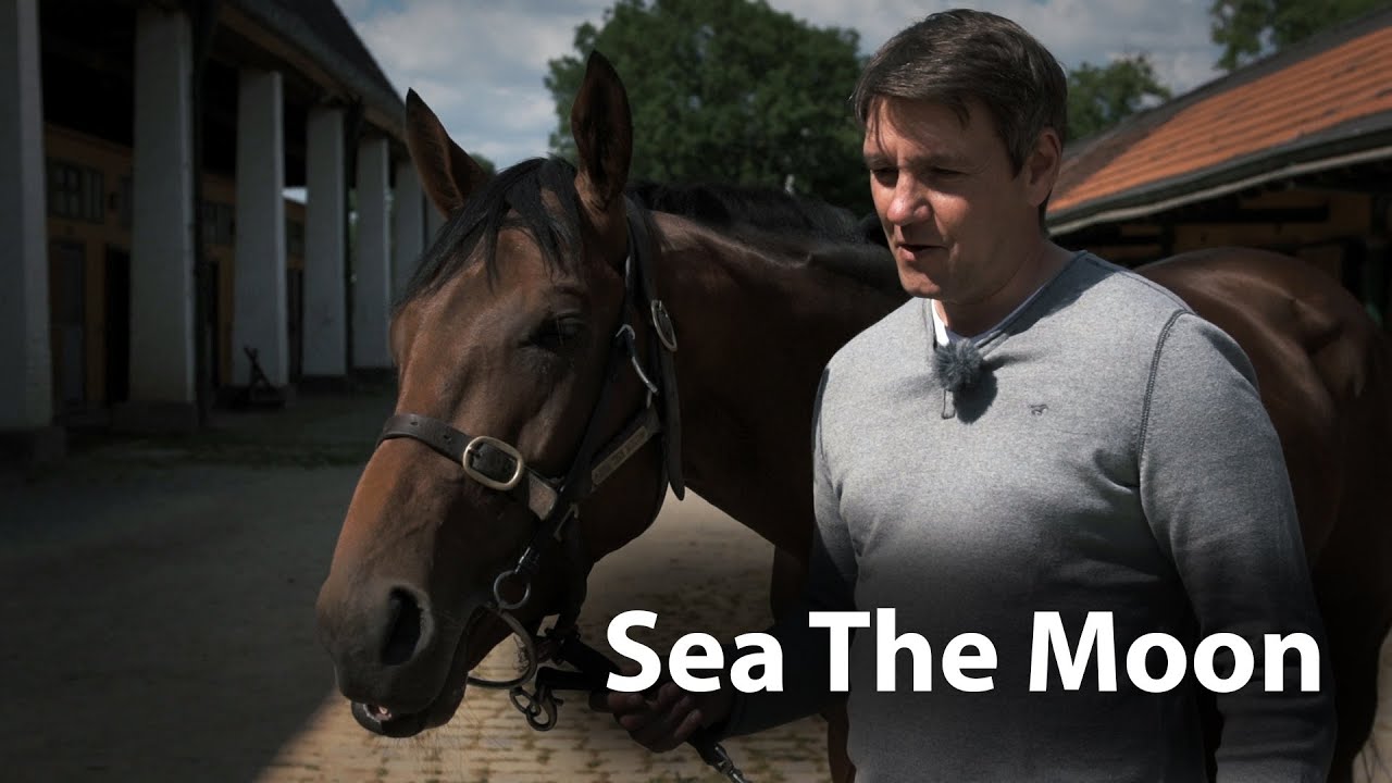 Sea The Moon - Der Favorit im IDEE 145. Deutschen Derby - YouTube
