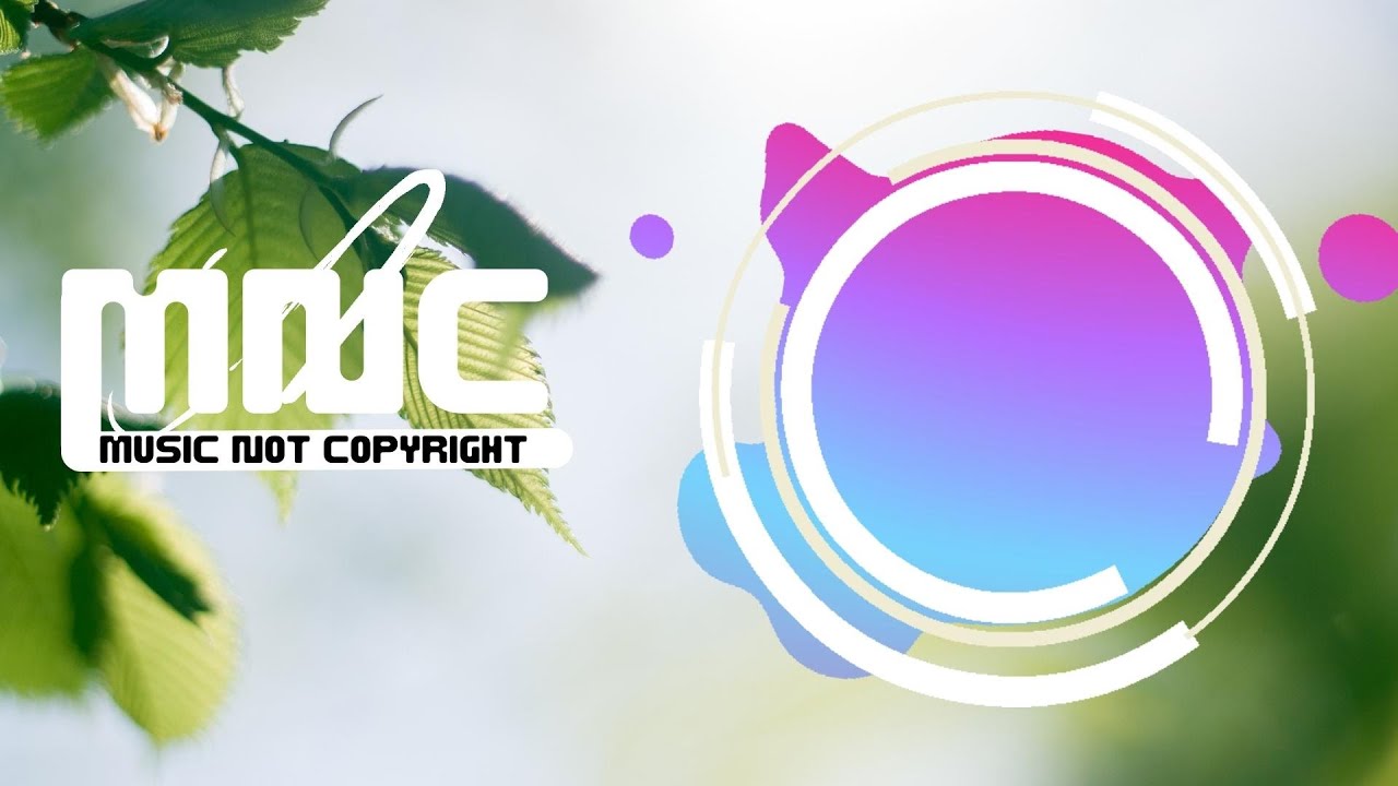 Acoustic Cinematic / beautiful nature || MNC(Music Not copyright) - YouTube