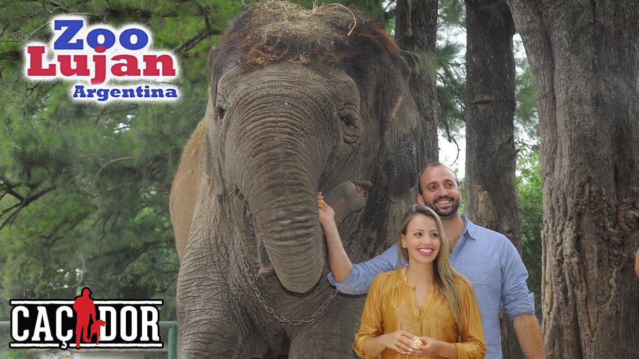 Zoo Lujan - Viagem para Argentina - Segunda Parte - YouTube