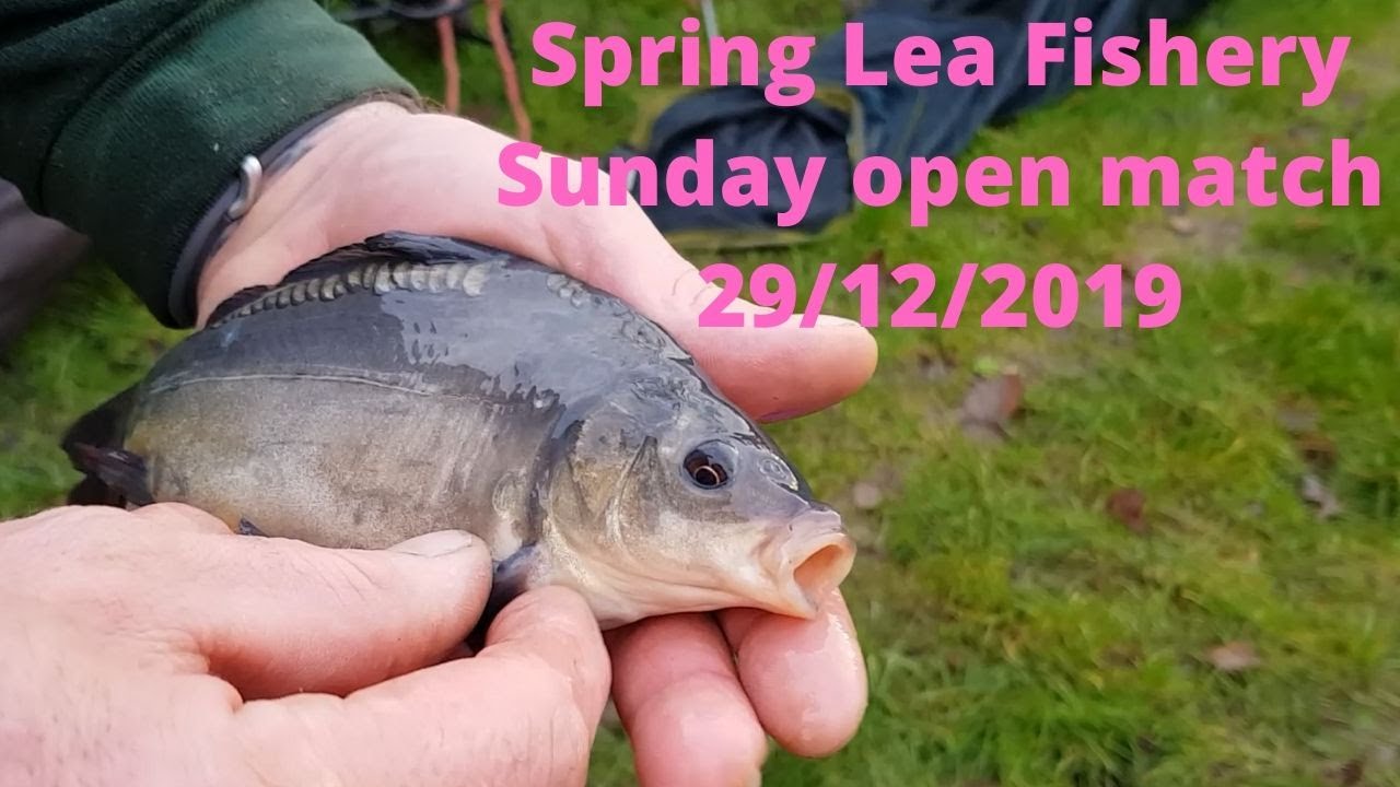 Spring Lea Sunday open fishing match 29th Dec 2019 - YouTube