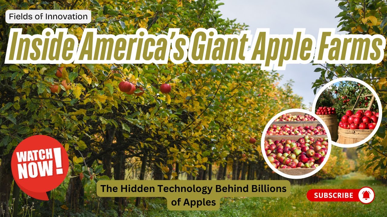 130 - Inside America’s Giant Apple Farms – The Hidden Technology Behind ...