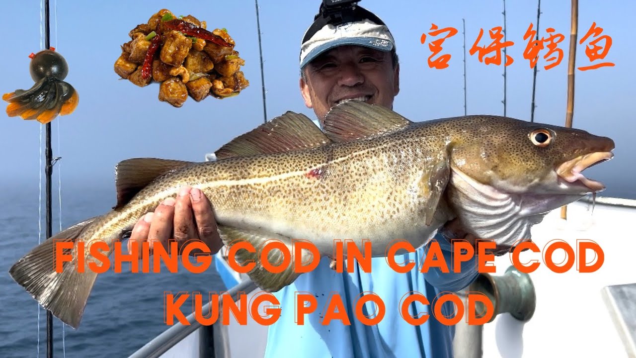 Fishing cod in Cape Cod - Kungpao cod / 宫保鳕鱼 - YouTube