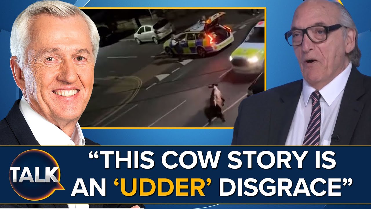 "This Cow Story Is An 'Udder' Disgrace" | Surrey Police Hit Cow With ...