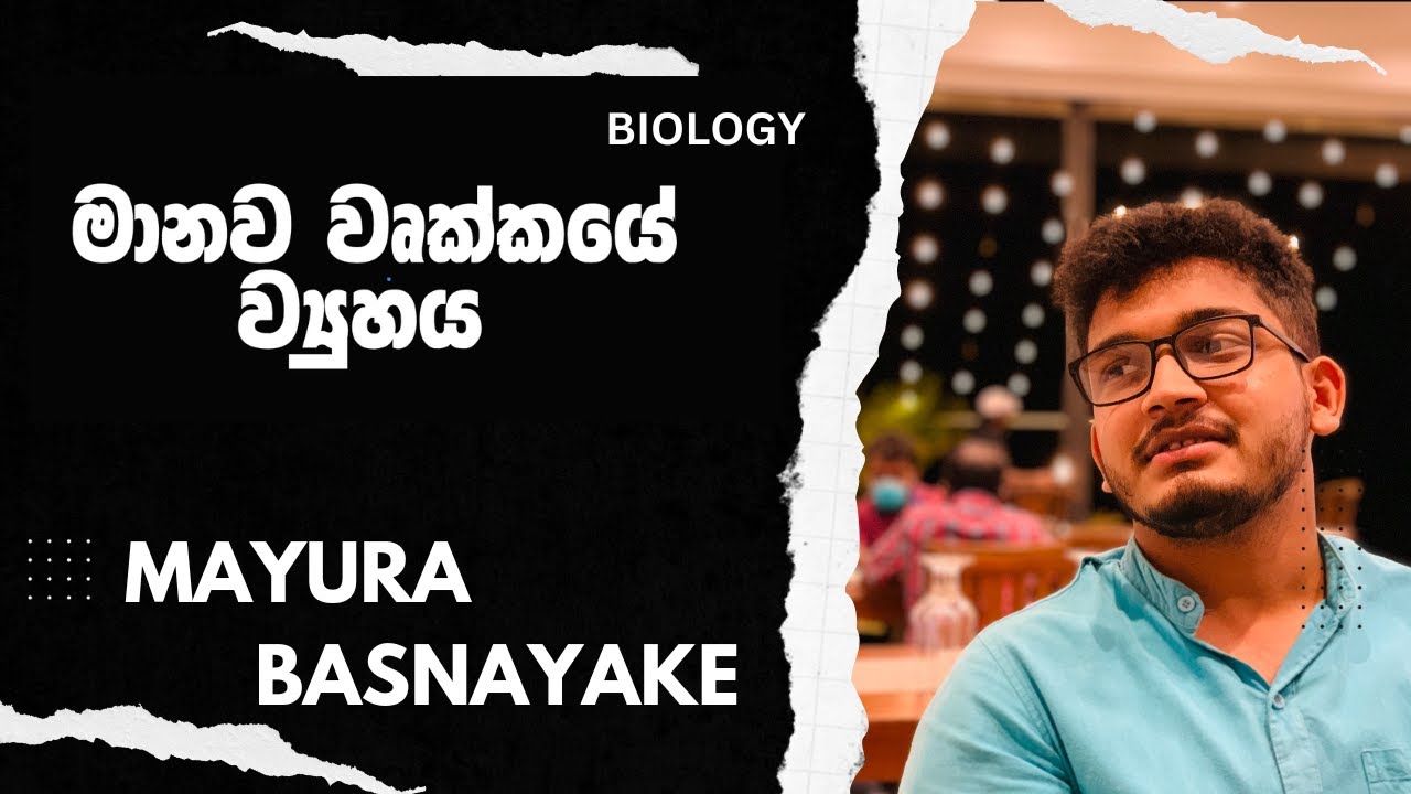 මානව වෘක්කයේ ව්‍යුහය | Mayura Basnayake | Biology | 2024 Advanced Level ...
