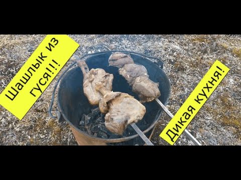 Шашлык из гуся! Дикая кухня!