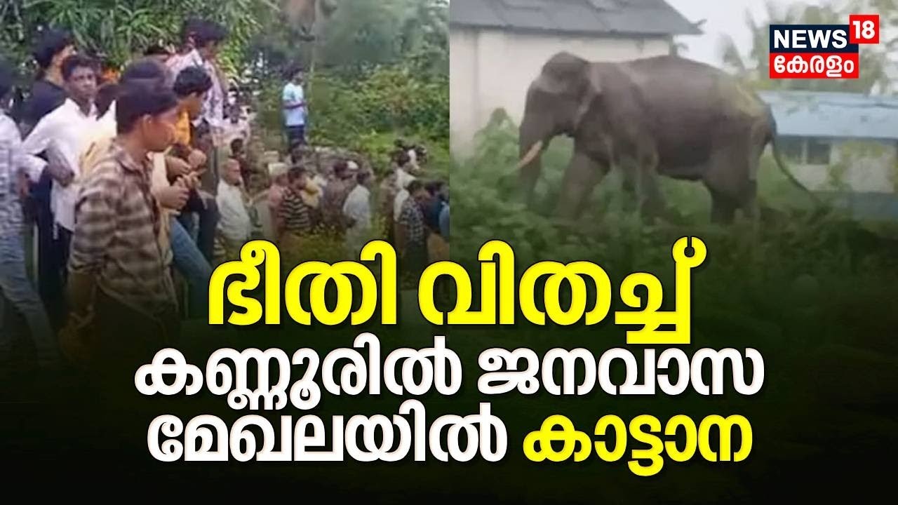 Kannur Ulikkalൽ ജനവാസമേഖലയിൽ തമ്പടിച്ച് കാട്ടാന ; Karnataka വനത്തി ...
