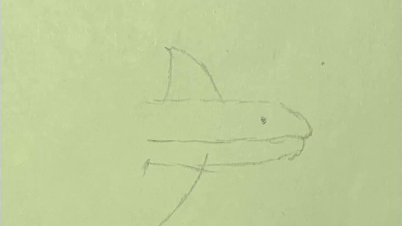 Shark Flip Book Animation - YouTube