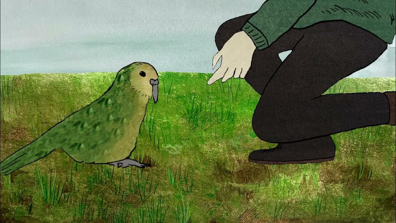 The Story of the Kakapo - YouTube