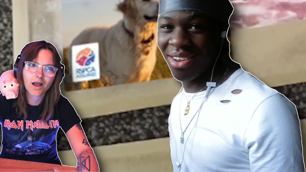 RSPCA APPROVED DOG MEAT? Meme Review ft. @CainDefendsAnimals - YouTube