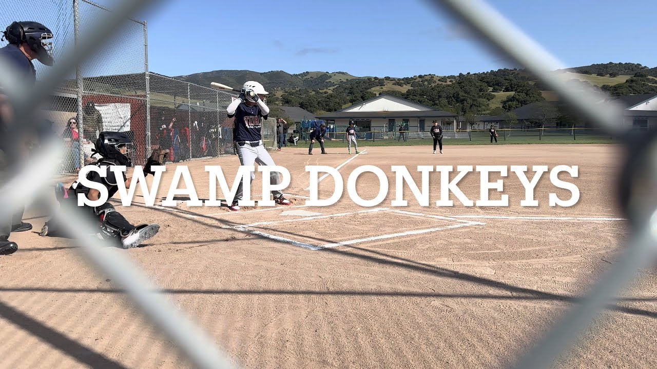Swamp Donkeys - Batting Highlights - YouTube