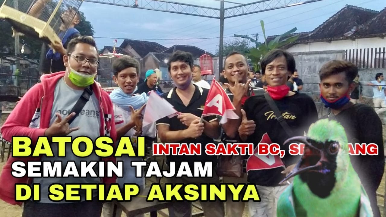 Batosai Semakin Tajam Di Setiap Aksinya - YouTube