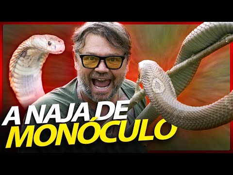 ENFRENTEI MEU MEDO COM UMA NAJA MONÓCULO! | RICHARD RASMUSSEN