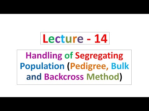 Lecture - 14 Handling of Segregating Population (Pedigree, Bulk and ...