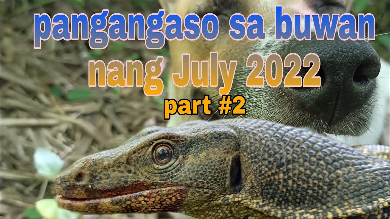 pangangaso sa buwan nang July 2022 part #2 - YouTube