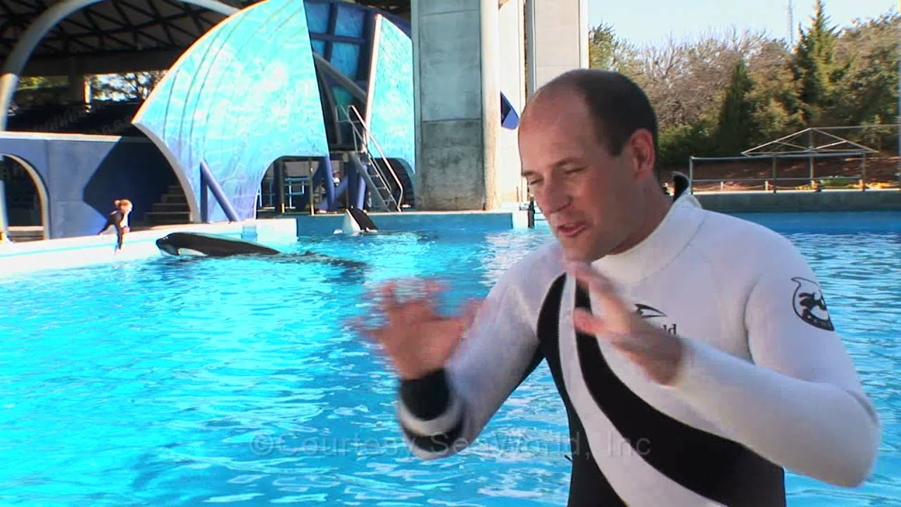 Sea World Promo - YouTube