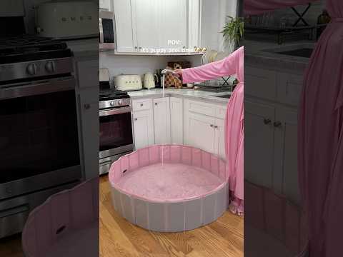 It’s pool time! #dog #puppy #viral #asmrsounds #pool #shorts